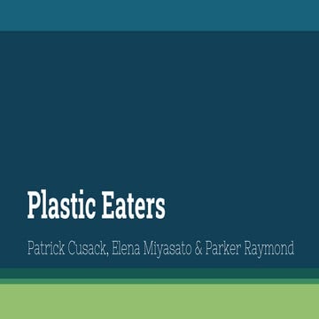Plastic eating bacteria - Ideonella sakaiensis | PPTX
