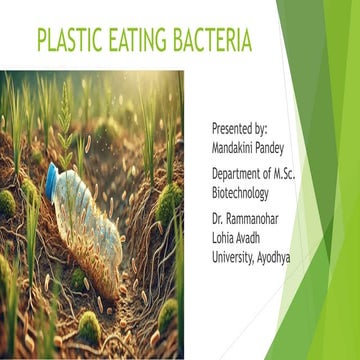 Plastic eating bacteria - Ideonella sakaiensis | PPTX