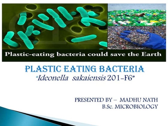 Plastic eating bacteria | PPT