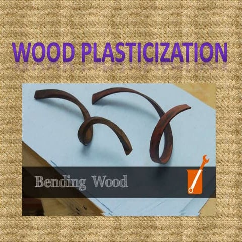 WOOD PLASTICIZATION | PPTX
