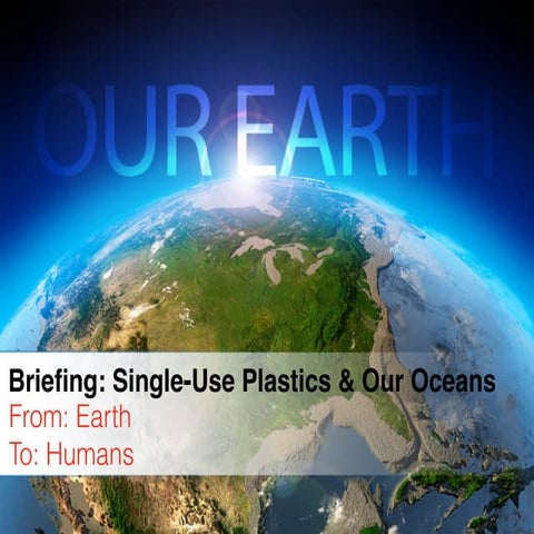 Briefing: Single-Use Plastics & Our Ocean | PDF