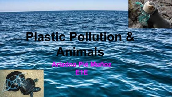 Plastic pollution | PPT
