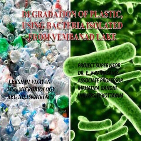 Degradation of Plastic Using Bacteria Isolated From Vembanad lake ppt ...