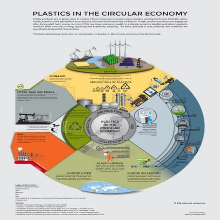 Plastics in the Circular Economy | PDF