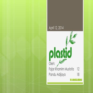 Plastid | PPTX