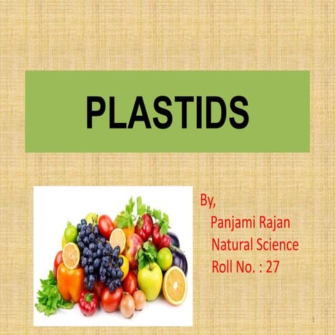 Plastids