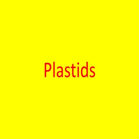 Plastids | PPT