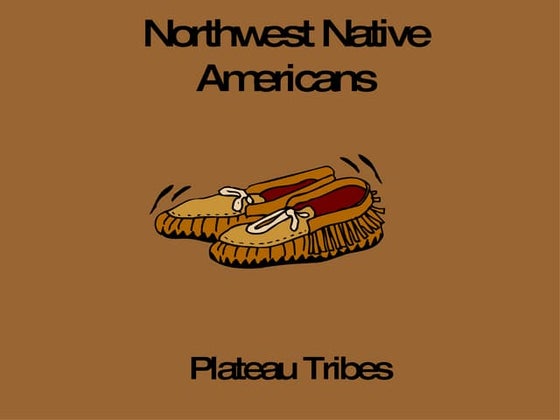 The Kalinagos and their beautiful culture | PPT