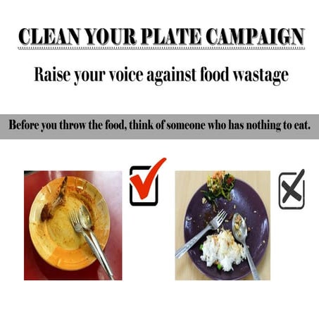 Plate Clean.pdf