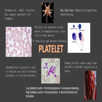 platelet.pptx