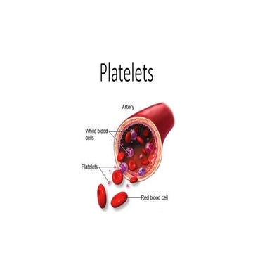 Platelets and anticoagulants powerpoints | PPT