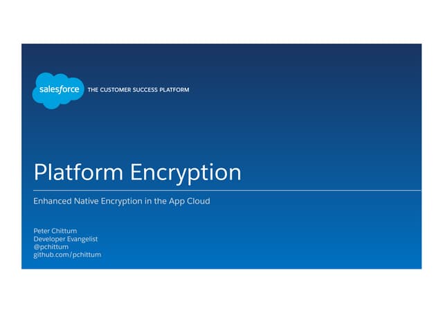 Salesforce Platform Encryption Developer Strategy Ppt