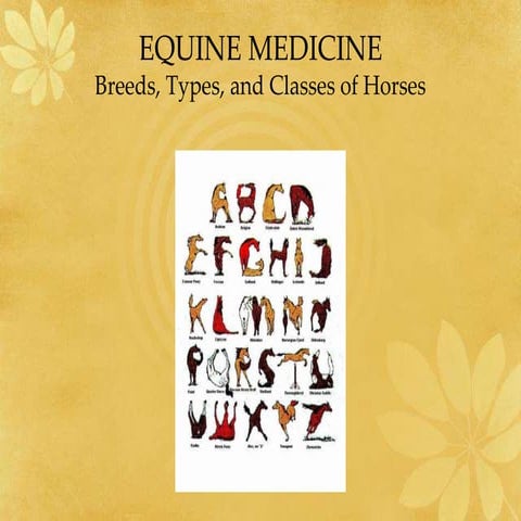 Breeds, Types, and Classes of Horses | PPTX