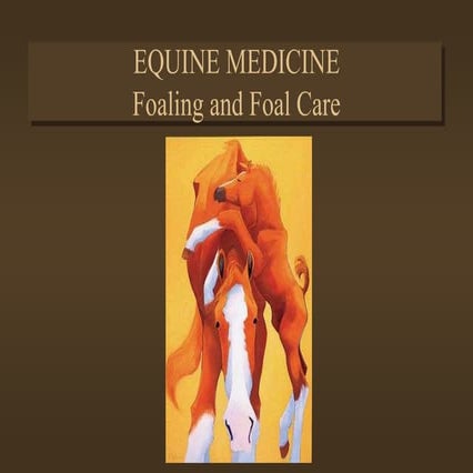 Foaling & Foal Care | PPSX