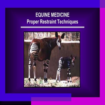 Proper Restraint Techniques | PPSX