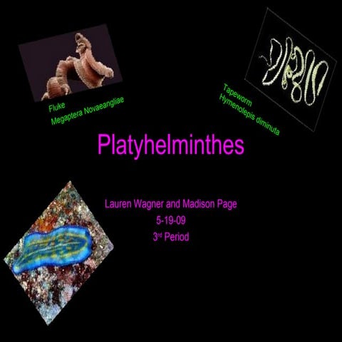 Platyhelminthes 090528141649-phpapp01 | PPT