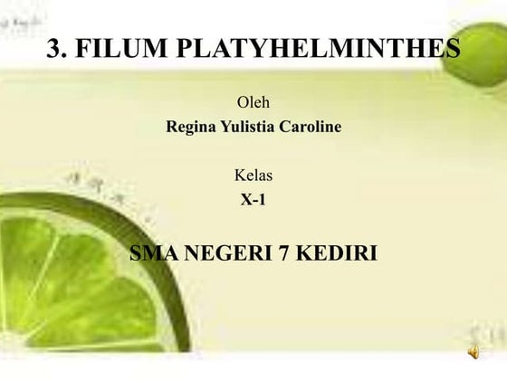 Platyhelminthes | PPT