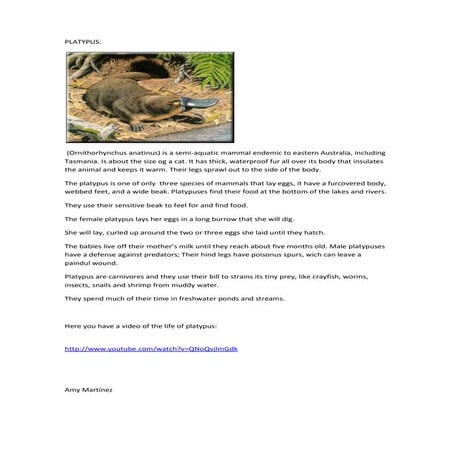 5 S Platypus | PDF