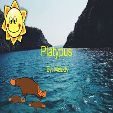 Platypus | PPTX