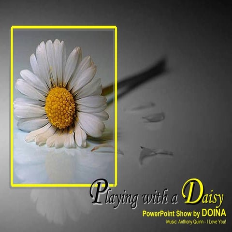 Playing With A Daisy | PPT