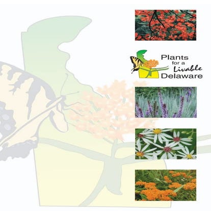 Plants for A Livable Delaware - Landscaping with Native Plants | PDF