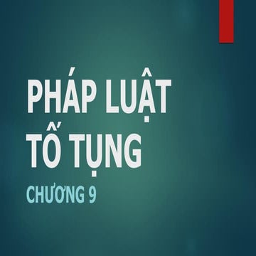 PLDC C9-PHÁP LUẬT TáddsasadasdsaỐ TỤNG.pdf