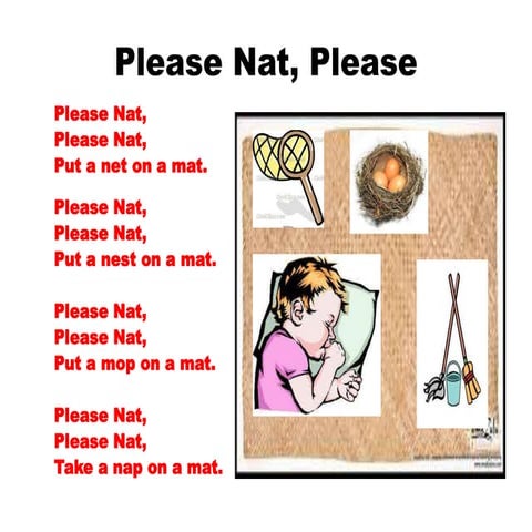 Please nat, please | PPTX