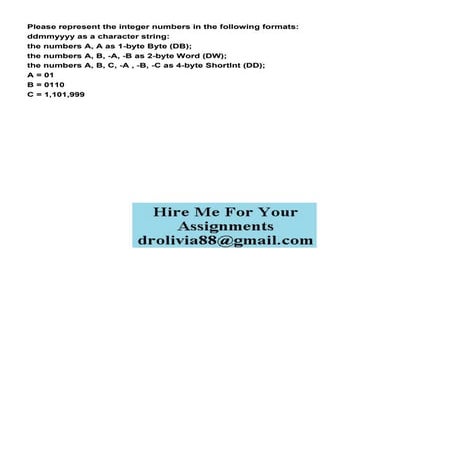 Please represent the integer numbers in the following format.pdf