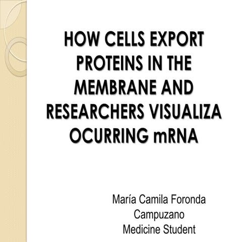 Nuclear export of mRNA | PDF