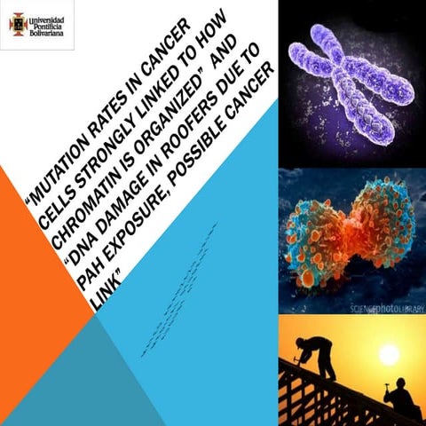 Fragile sites in the cancer | PPTX