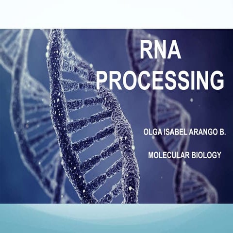 RNA processing | PPT