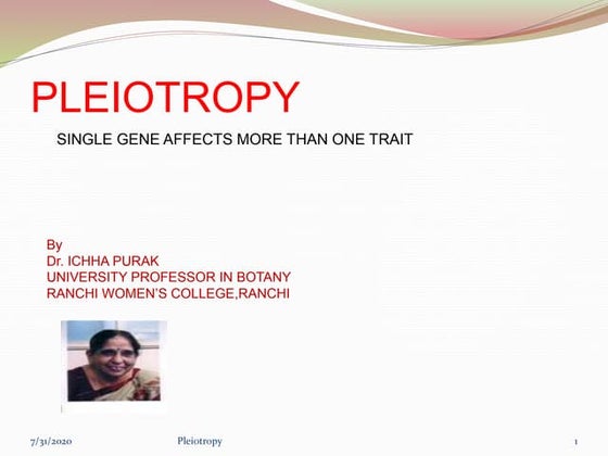 Structure of Anther | PPT