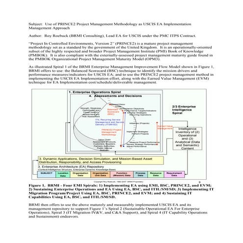 Implementing And Sustaining Enterprise Management (With BSC, PRINCE2 ...
