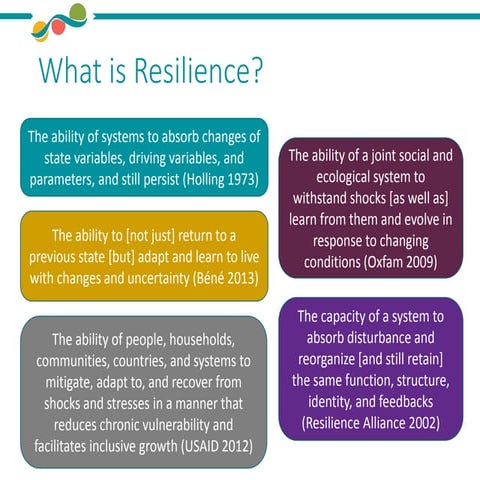 Understanding resilience and coping with a world of shocks | PDF