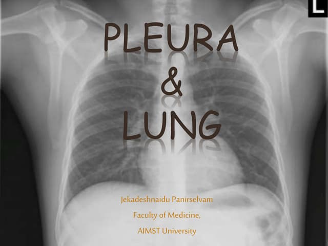 BRONCHOPULMONARY SEGMENTS RADIOLOGY AND IMAGING | PPTX