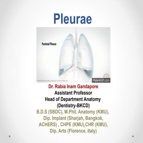 Pleurae, Trachea & Principal Bronchi By Dr Rabia Inam Gandapore.pptx