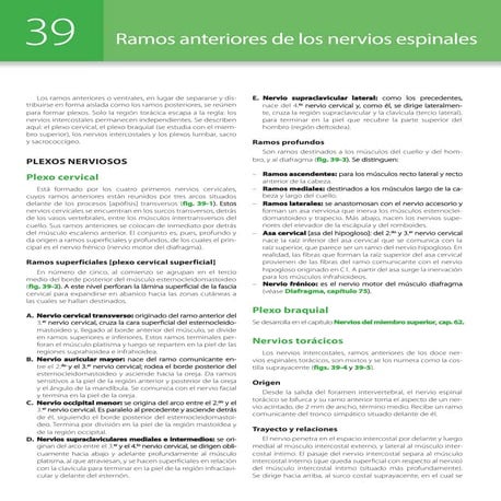 Plexos- capitulo 39.pdf