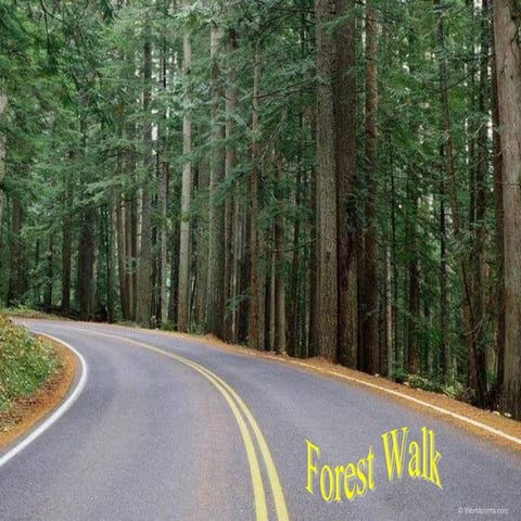 Plimbare Prin Padure | PPT