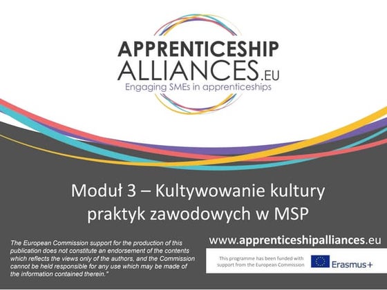 PL- Module 4 - Zatrudnij Swojego Pierwszego Praktykanta | DOCX | Career Planning | Careers