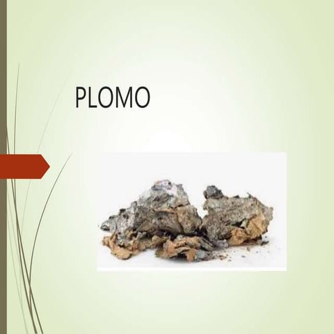 Intoxicacion por Plomo | PPTX