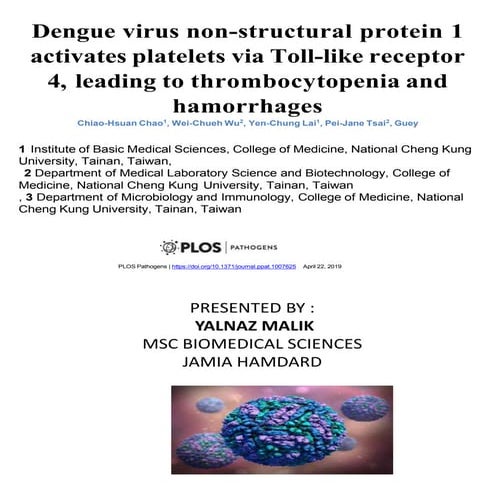 Ns1 protien in dengue virus causing thrombocytopenia. | PPTX | Infectious Diseases | Diseases ...