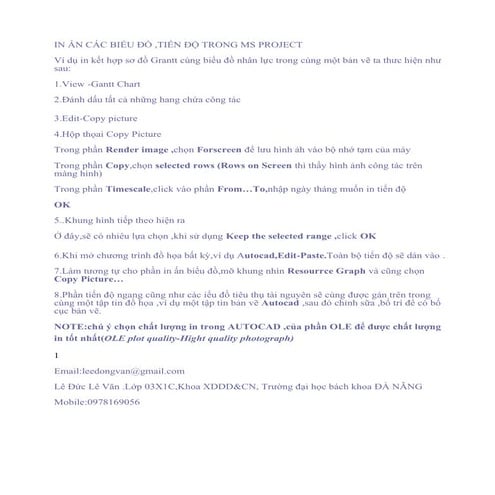 PLOT MS PROJECT | PDF