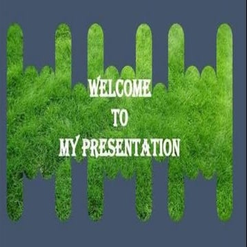 Professional ethics and manners form the foundation of a disciplined ...