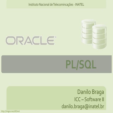 PL/SQL - Conceitos Básicos | PDF | Databases | Computer Software and Applications