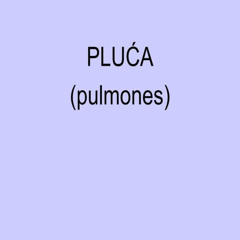Pluca | PPT