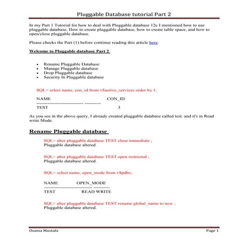 Pluggable Database Tutorial 2 Pdf Databases Computer Software And
