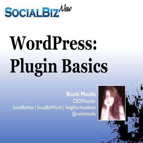 WordPress Plugin Basics | PDF | Computing | Technology & Computing