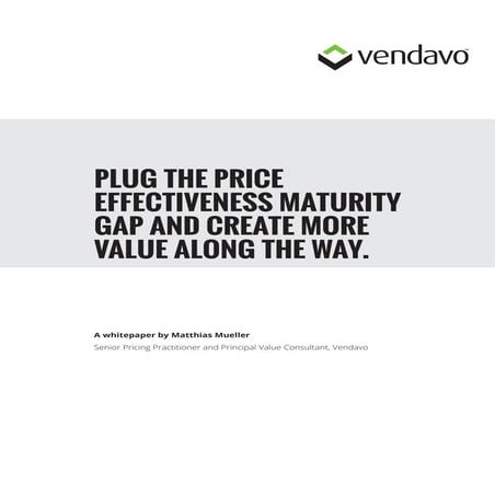 Plug the pricing maturity gap | PDF