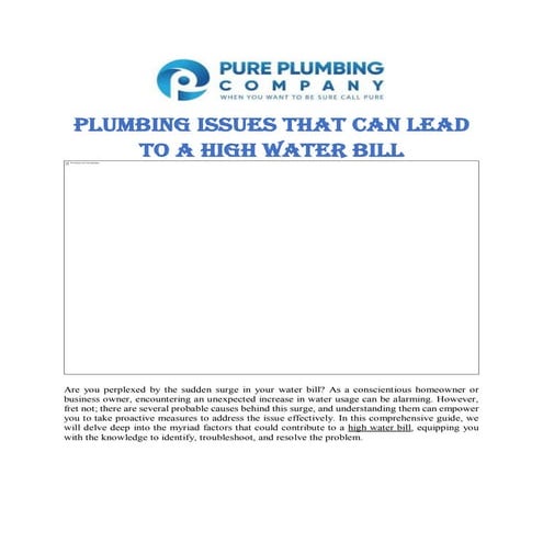 Plumbing Issues That Can Lead To A High Water Bill.pdf