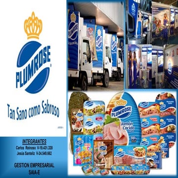 Plumrose matriz foda | PDF
